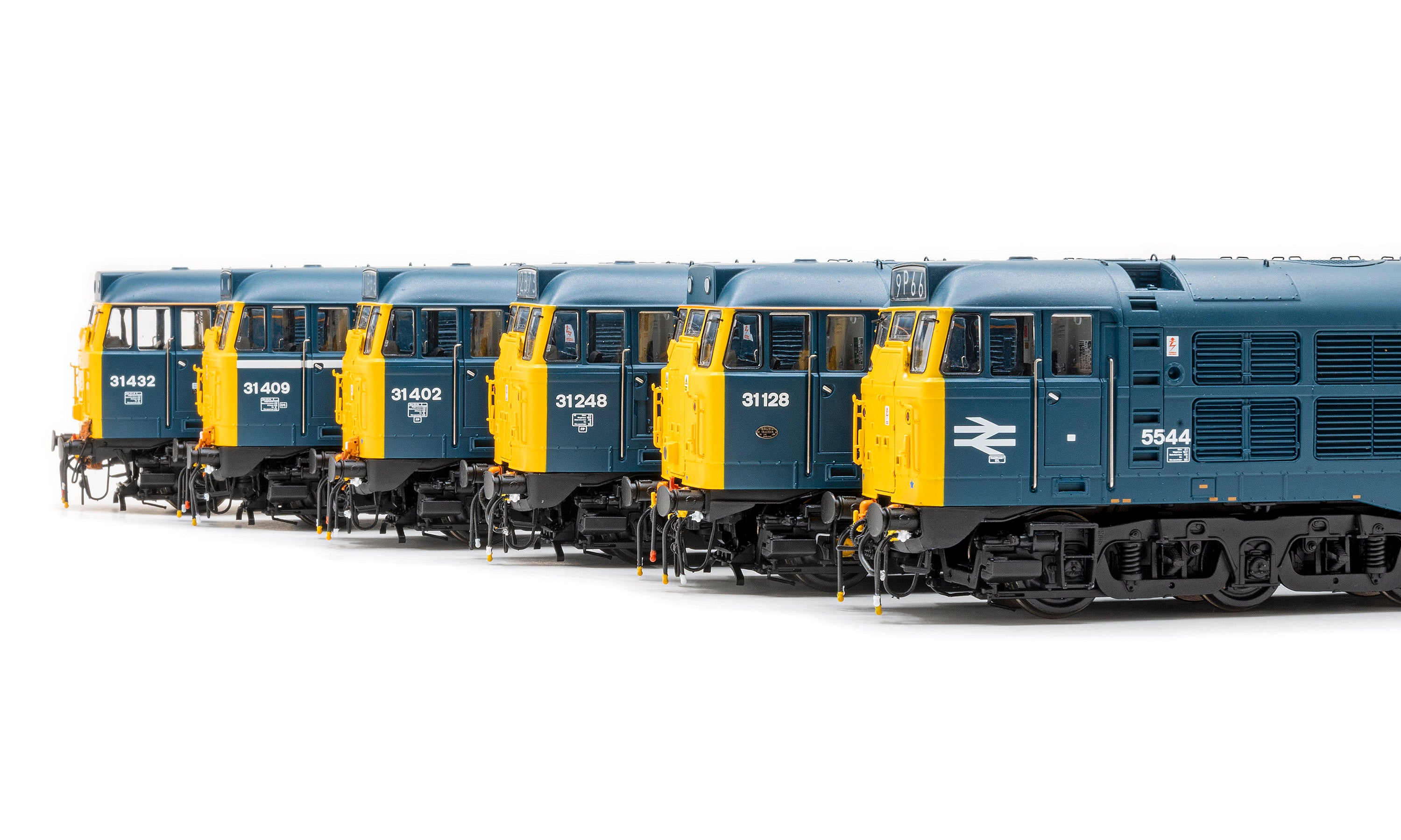 Blue Brians - Class 31 Production Update – Accurascale