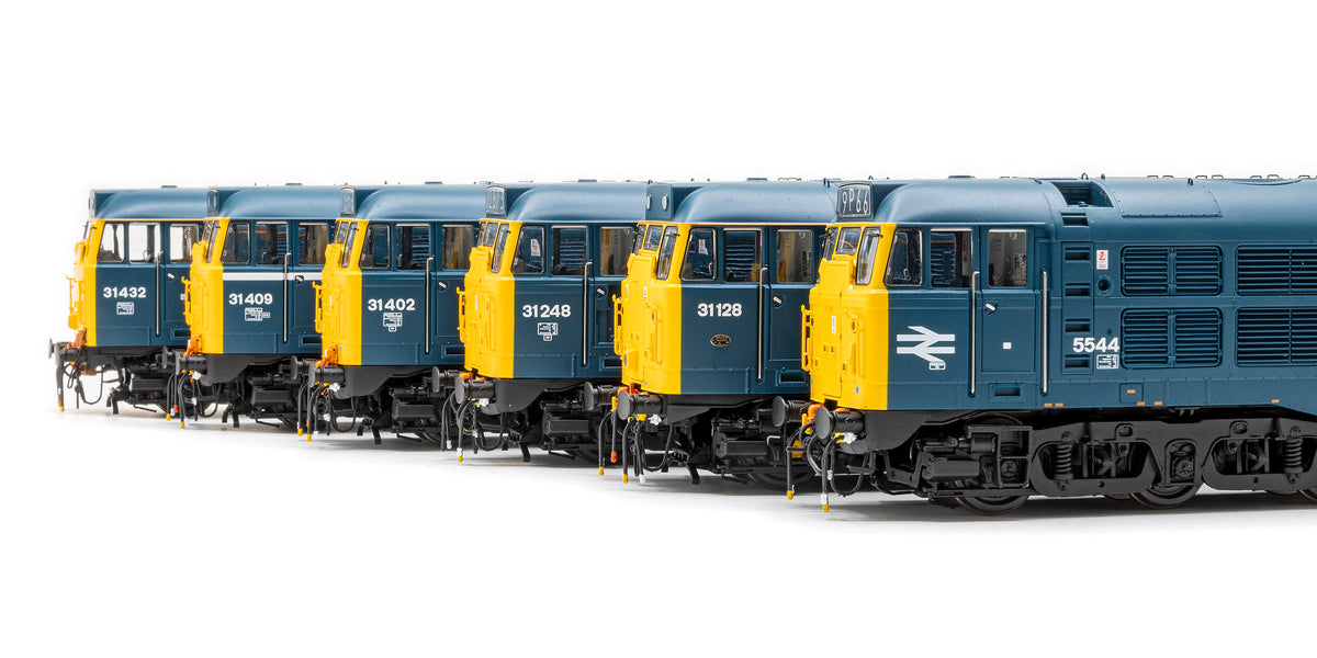 Blue Brians - Class 31 Production Update — Accurascale